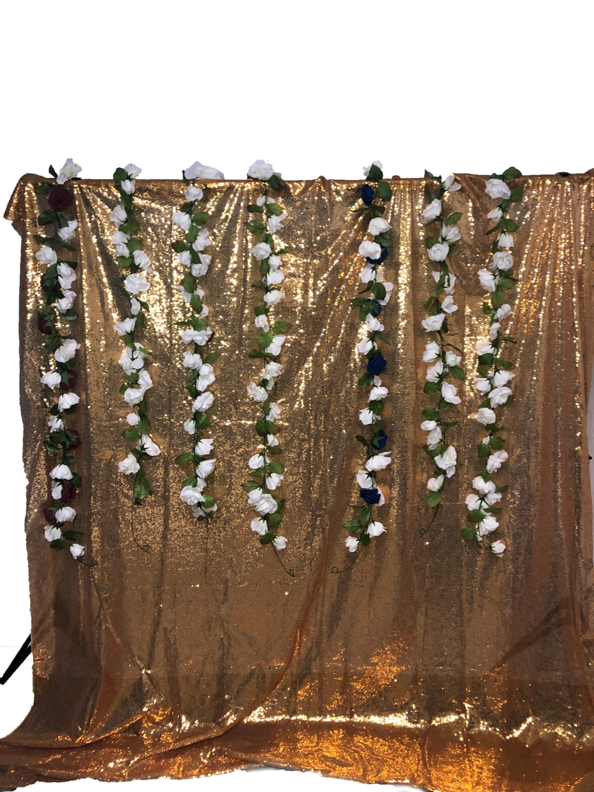 Photobooth Backdrops